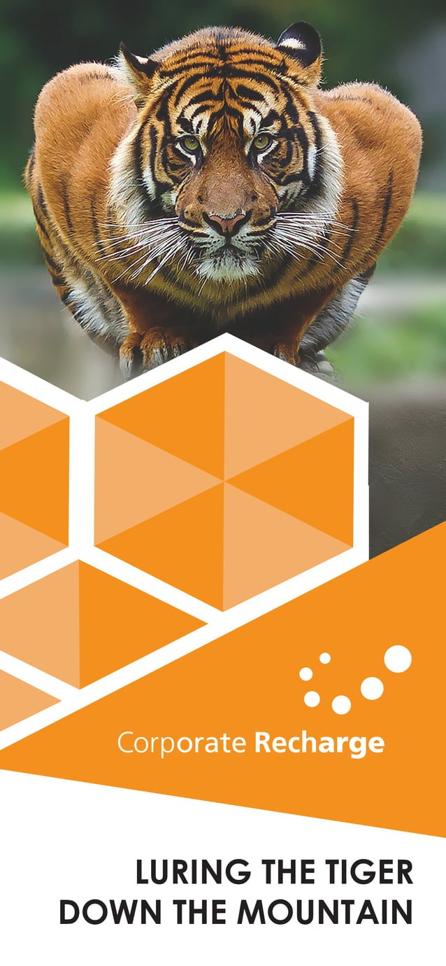 Tiger Brochure Final | PDF