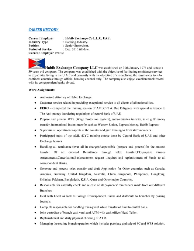 ABDUL BASIT CV | PDF