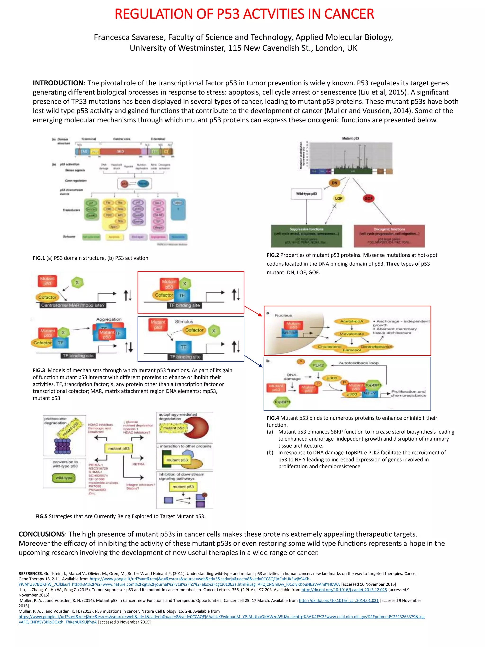 REGULATION OF P53 ACTVITIES IN CANCER | PPTX