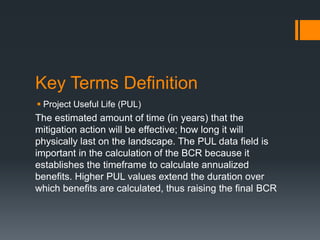 Cost Benefit Analysis- CBA | PPTX