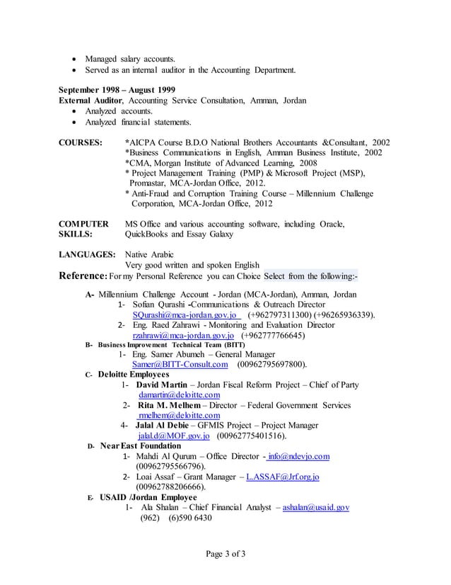 Ayman Mousa - C.V. Financial Officer | PDF