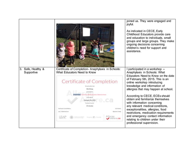 CECE Standards of Practice | PPT