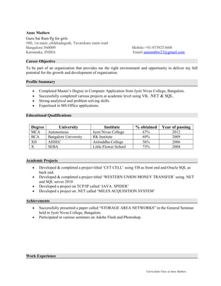 Resume | DOC | IT and Internet Support | Internet