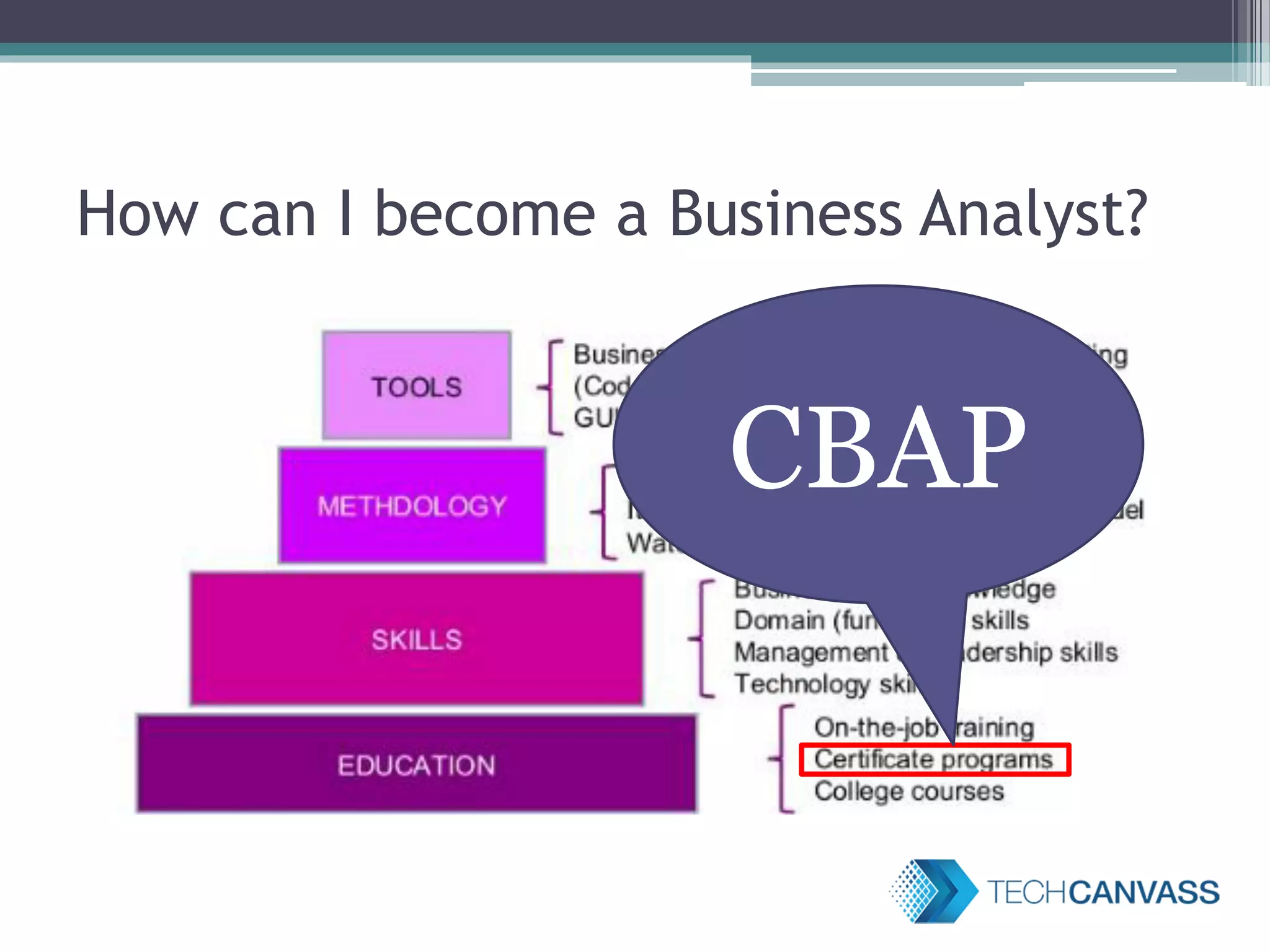 CBAP Certification Basics | PDF