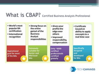 CBAP Certification Basics | PDF