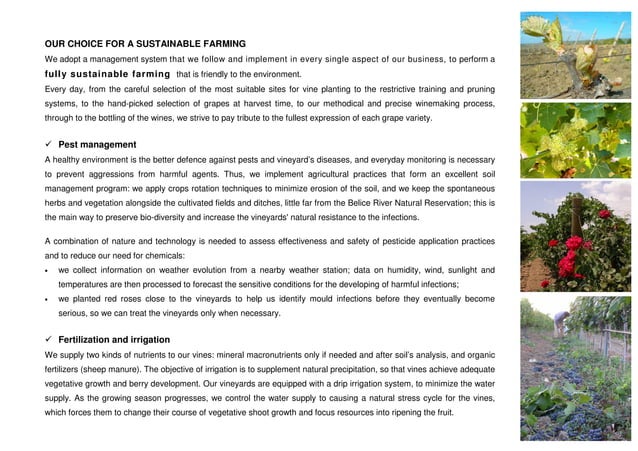 CB Company Profile | PPT