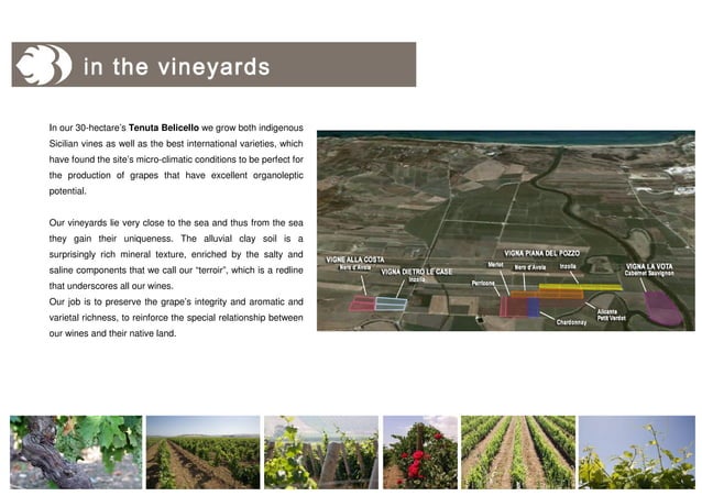 CB Company Profile | PPT