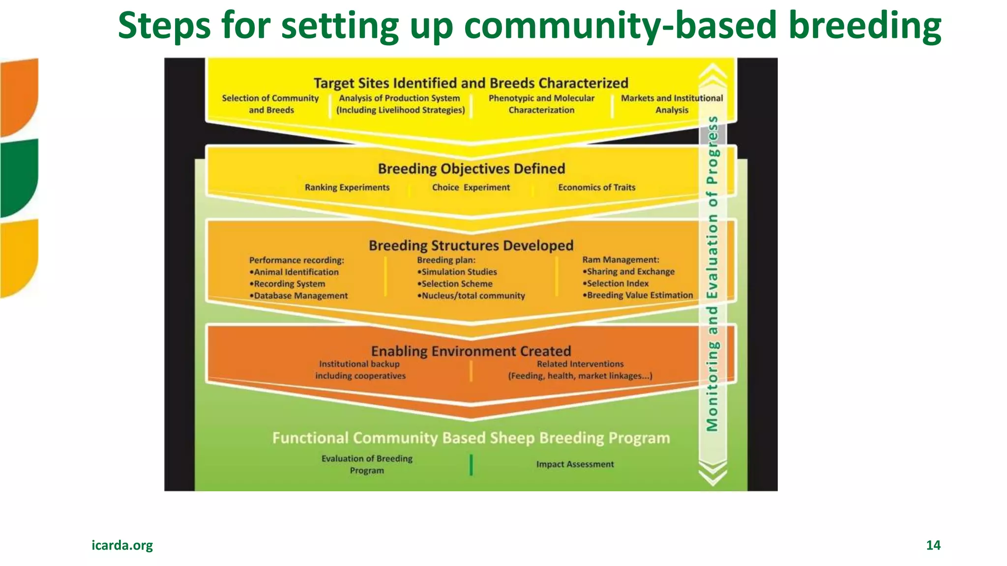 Overview of Community Based Breeding Program and implementation ...