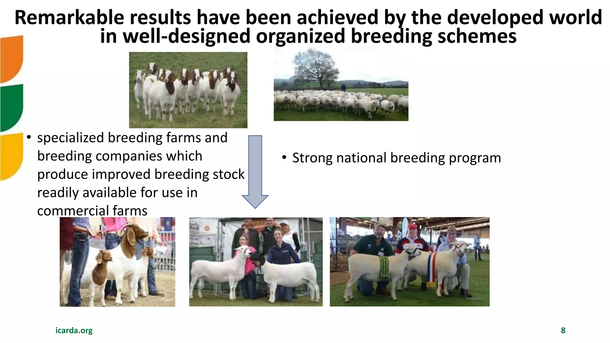 Overview of Community Based Breeding Program and implementation ...