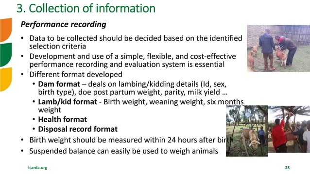 Overview of Community Based Breeding Program and implementation procedure | PPTX