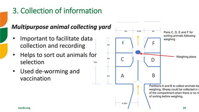 Overview of Community Based Breeding Program and implementation procedure | PPTX
