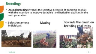 Overview of Community Based Breeding Program and implementation procedure | PPTX