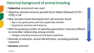 Overview of Community Based Breeding Program and implementation ...