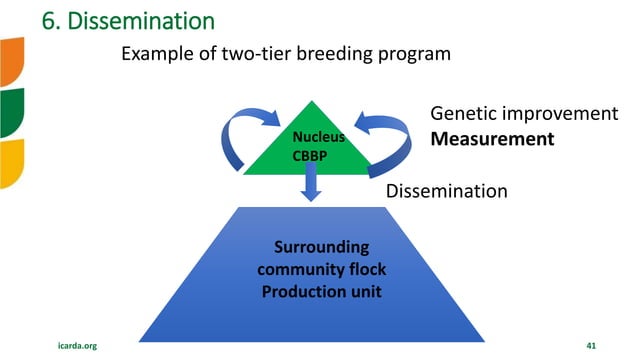 Overview of Community Based Breeding Program and implementation procedure | PPTX