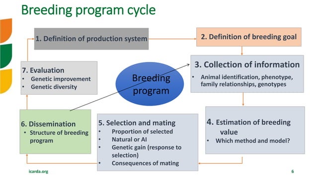Overview of Community Based Breeding Program and implementation procedure | PPTX