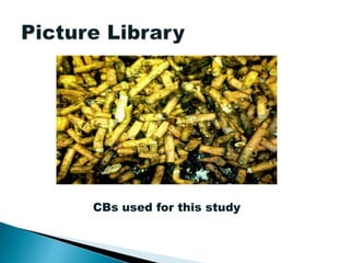 Cigarette butt bricks | PPTX