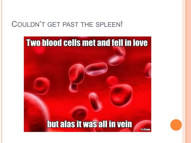 Complete Blood Count, Interpretations | PPTX