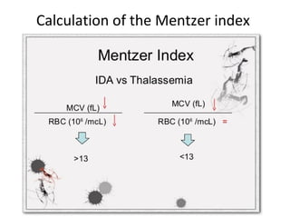 Cbc- Dr.Wahid Helmi Pediatric consultant Zarka hospital (Demiate). | PPT