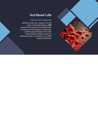 CBC.pdf