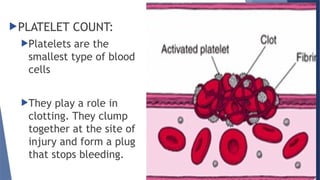 Cell Blood Count and erythrocyte sediment rate.pptx