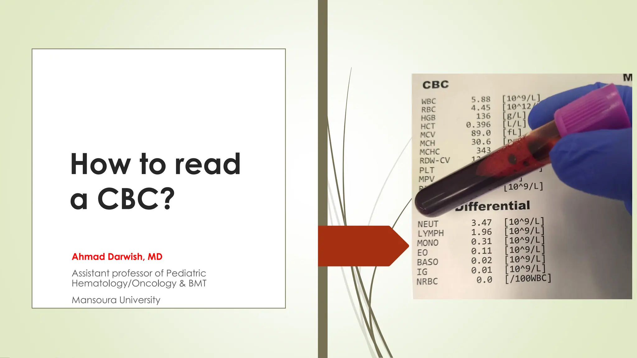 complete blood count analysis and blood disease investigation | PDF