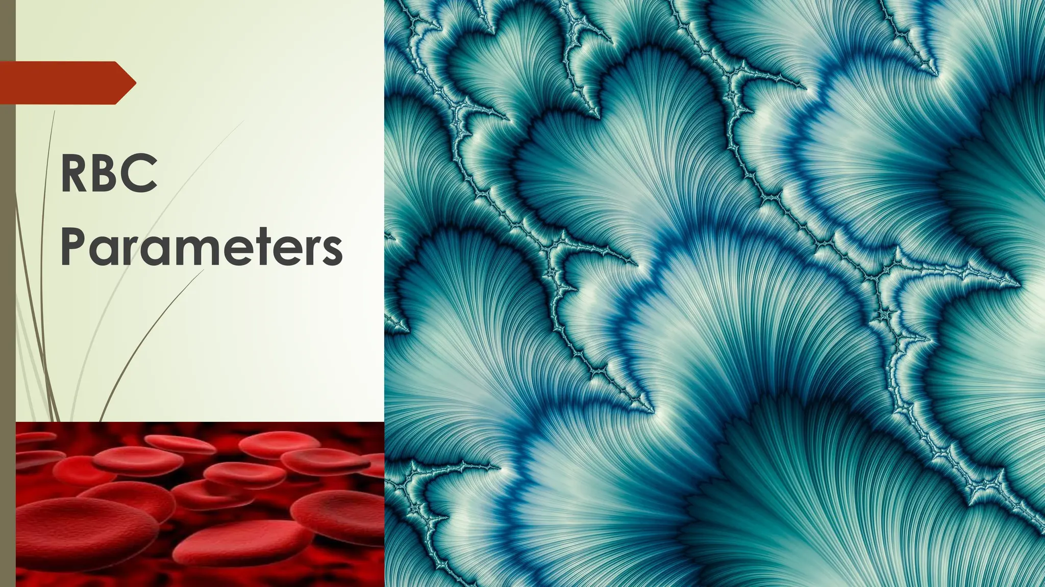 complete blood count analysis and blood disease investigation | PDF