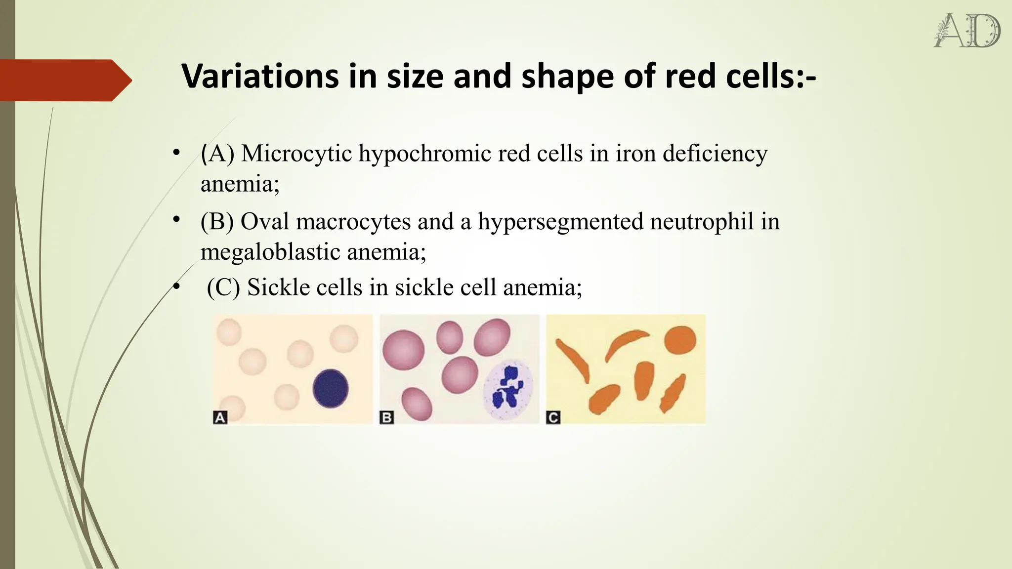 complete blood count analysis and blood disease investigation | PDF