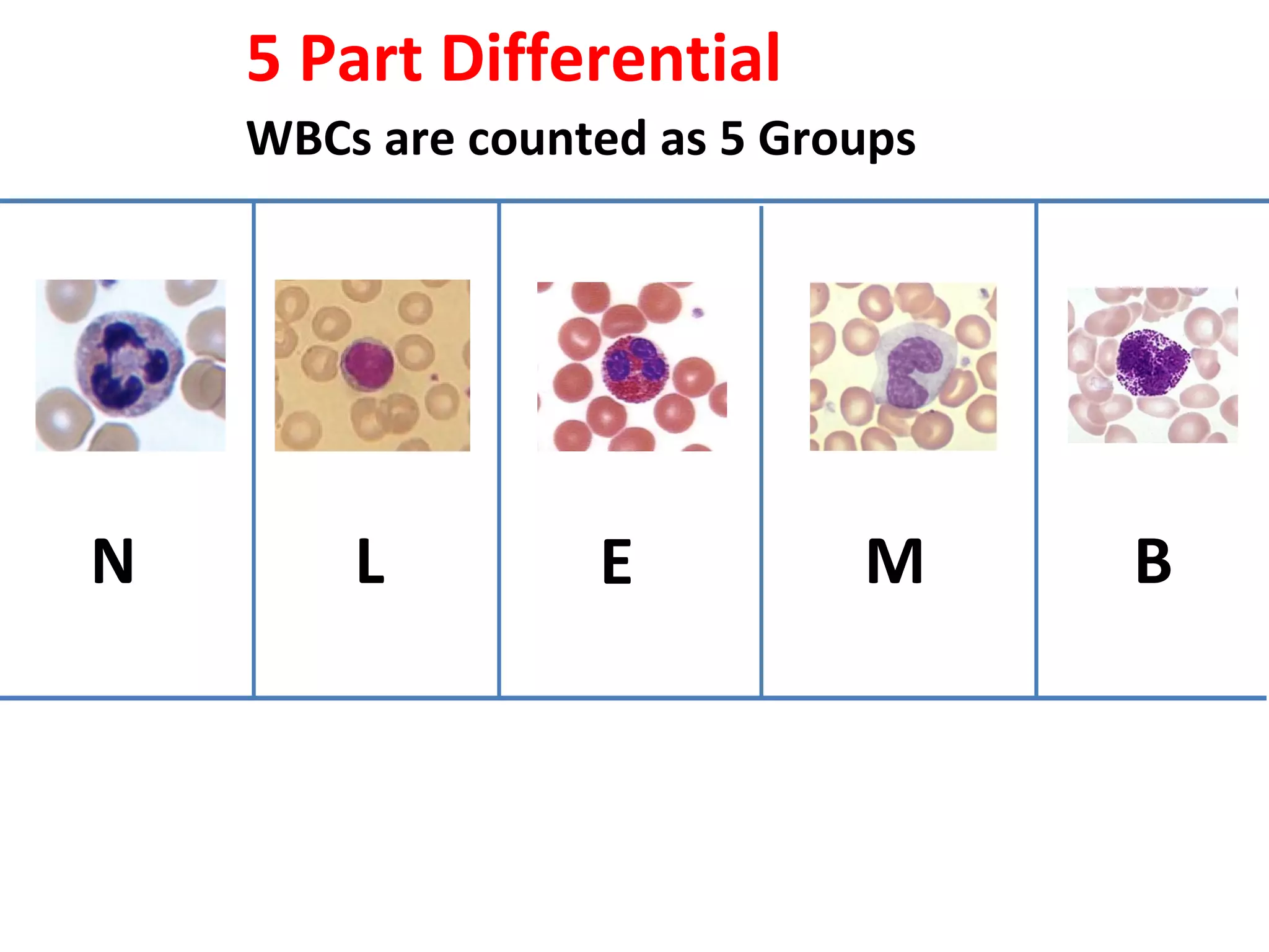 How to interpret Hematology CBC reports | PPT
