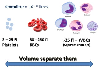 How to interpret Hematology CBC reports | PPT