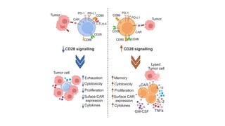 MECHANISM OF CHECKPOINT INHIBITORS IN CANCER THERAPY | PPTX