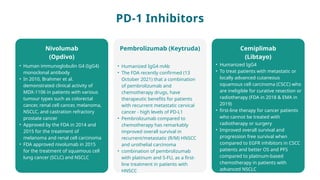 MECHANISM OF CHECKPOINT INHIBITORS IN CANCER THERAPY | PPTX