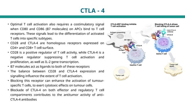 MECHANISM OF CHECKPOINT INHIBITORS IN CANCER THERAPY | PPTX