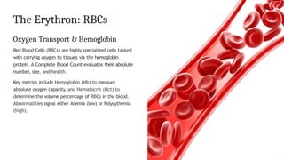 Comprehensive Guide to Complete Blood Count (CBC) Analysis and ...
