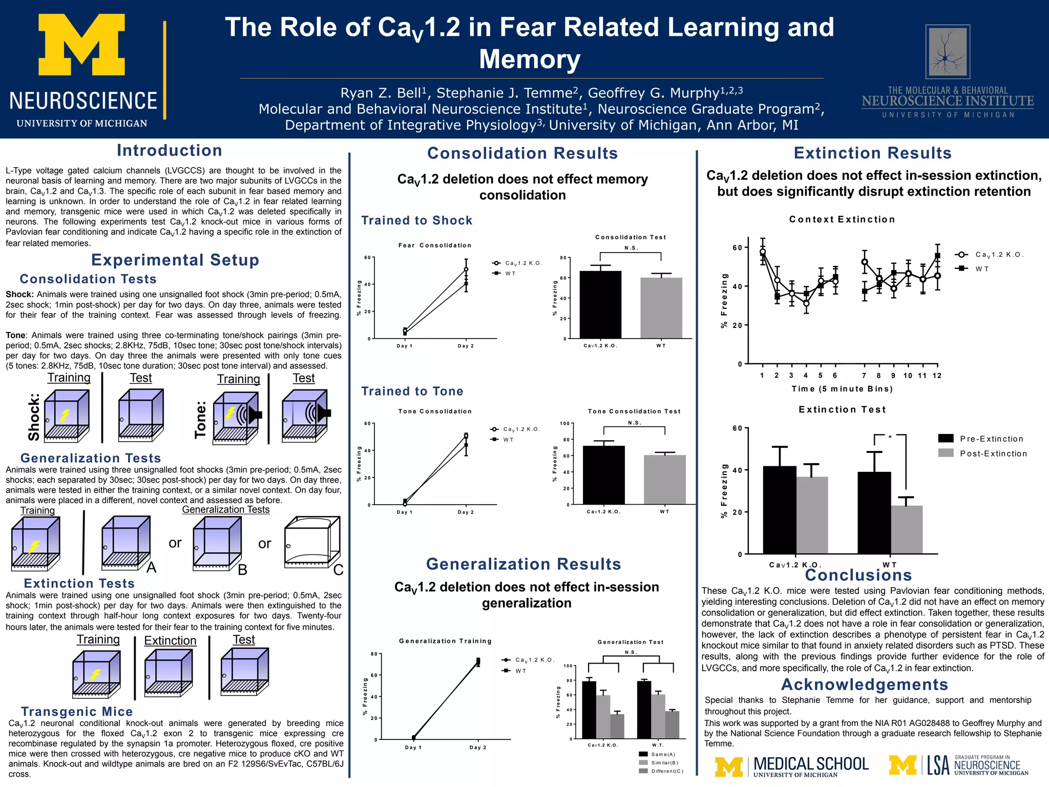 MI SfN Poster V13-Final | PDF