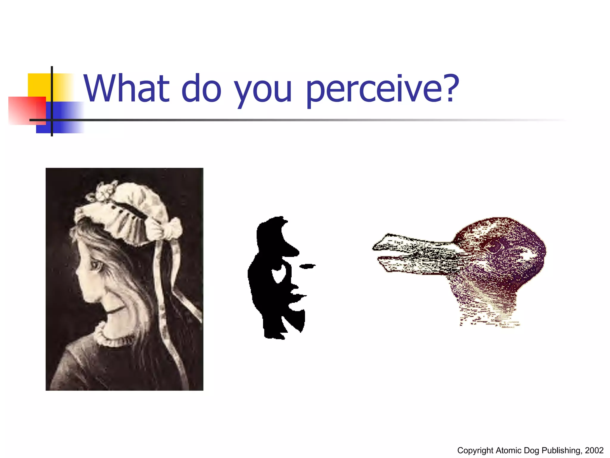Memory Learning Perception Ppt