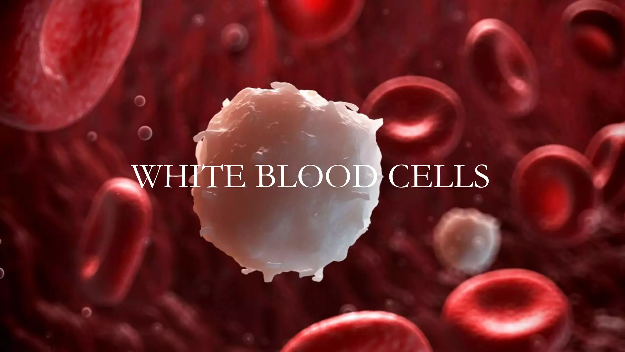 Complete Blood Count Interpretation | PPTX