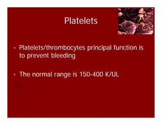 CBC Interpretation Lecture 2016.pdf