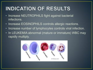 Cbc & its clinical significance | PPTX