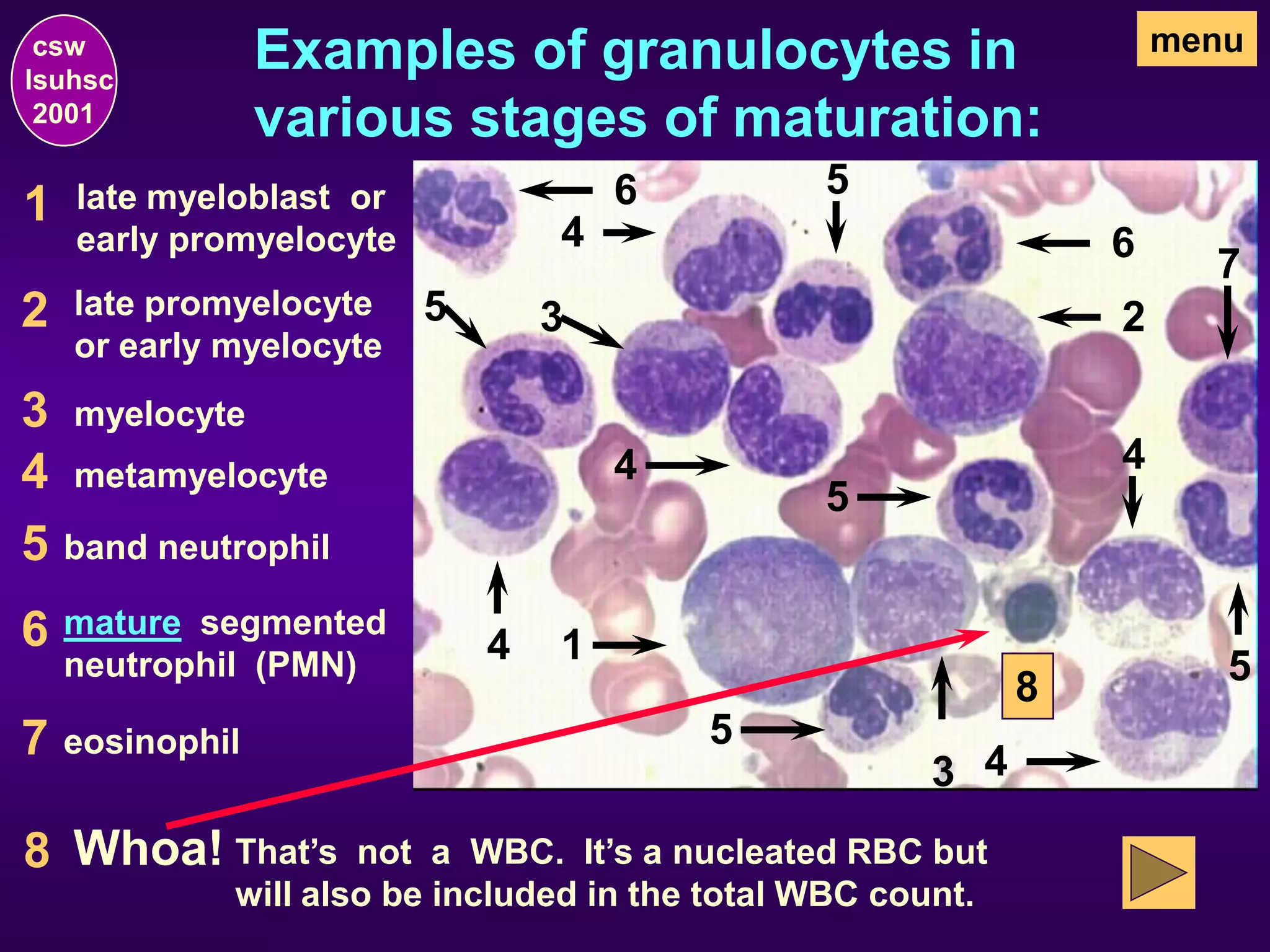 CBC Part 2 - WBC Differential & Morphology.pdf