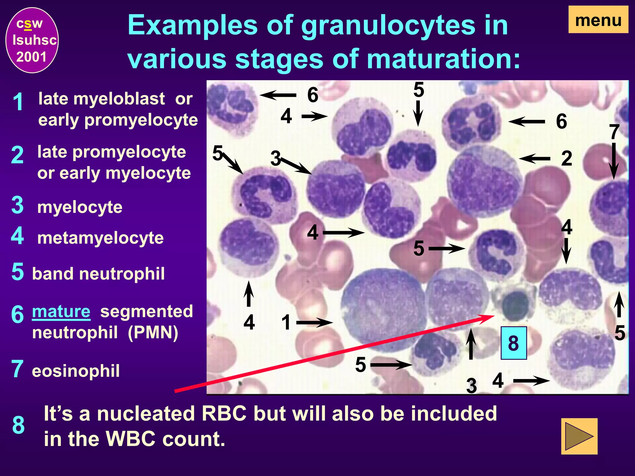 CBC Part 2 - WBC Differential & Morphology.pdf
