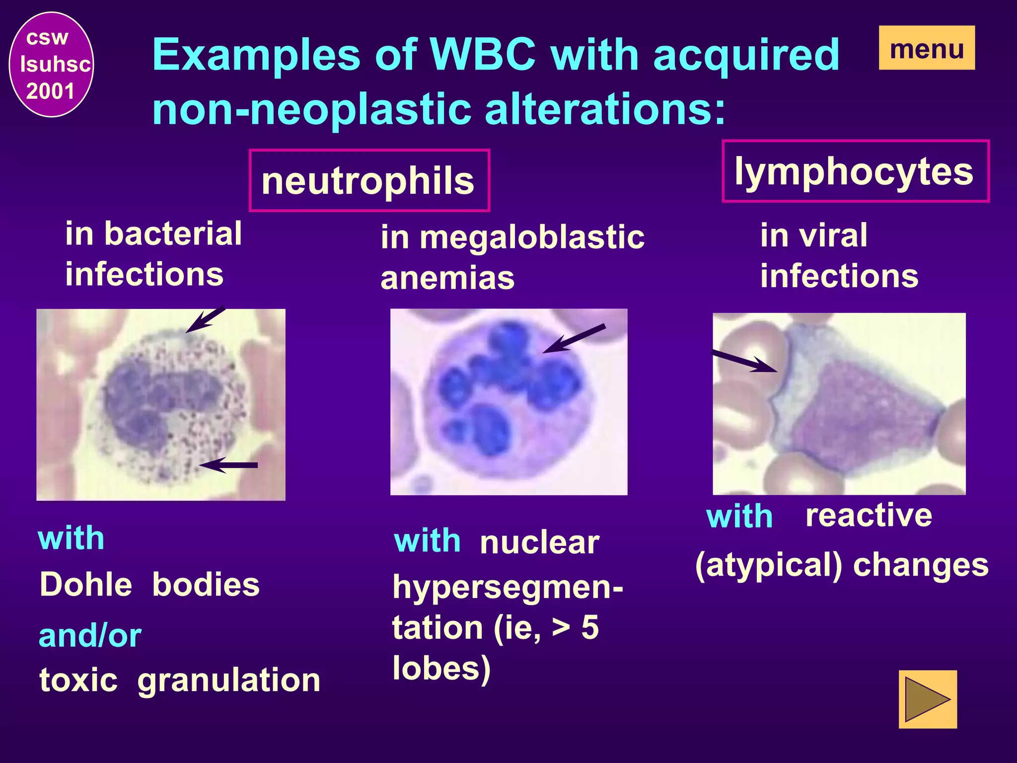 CBC Part 2 - WBC Differential & Morphology.pdf