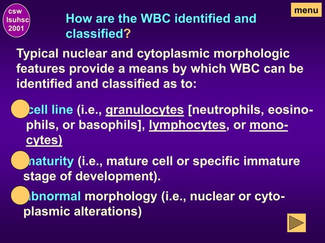 CBC Part 2 - WBC Differential & Morphology.pdf | Blood Disorders ...