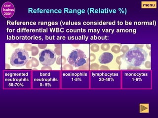 CBC Part 2 - WBC Differential & Morphology.pdf