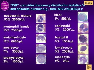 CBC Part 2 - WBC Differential & Morphology.pdf