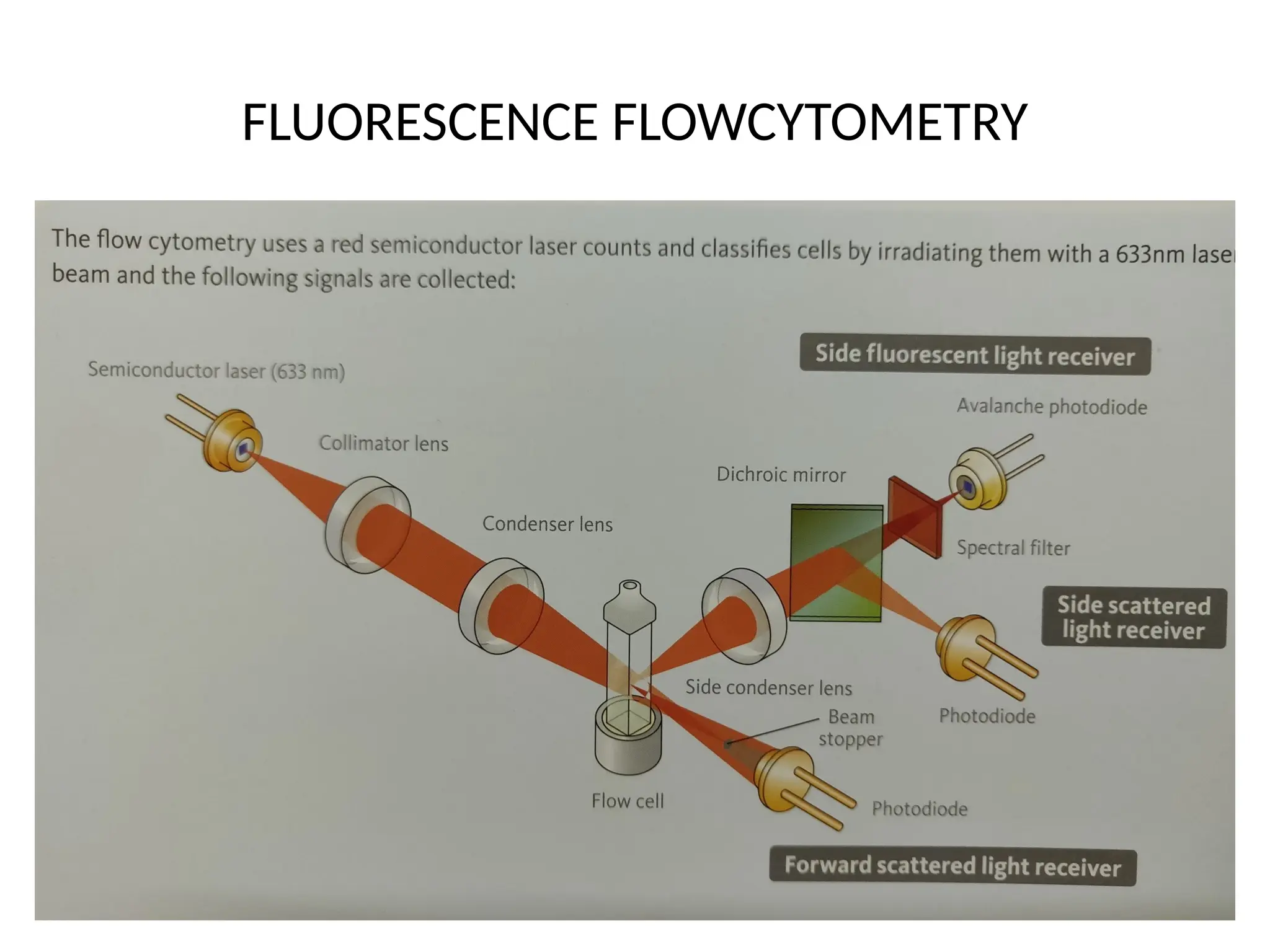 CBC, Principle of Cell Counter, Interpretation of Histogram ...