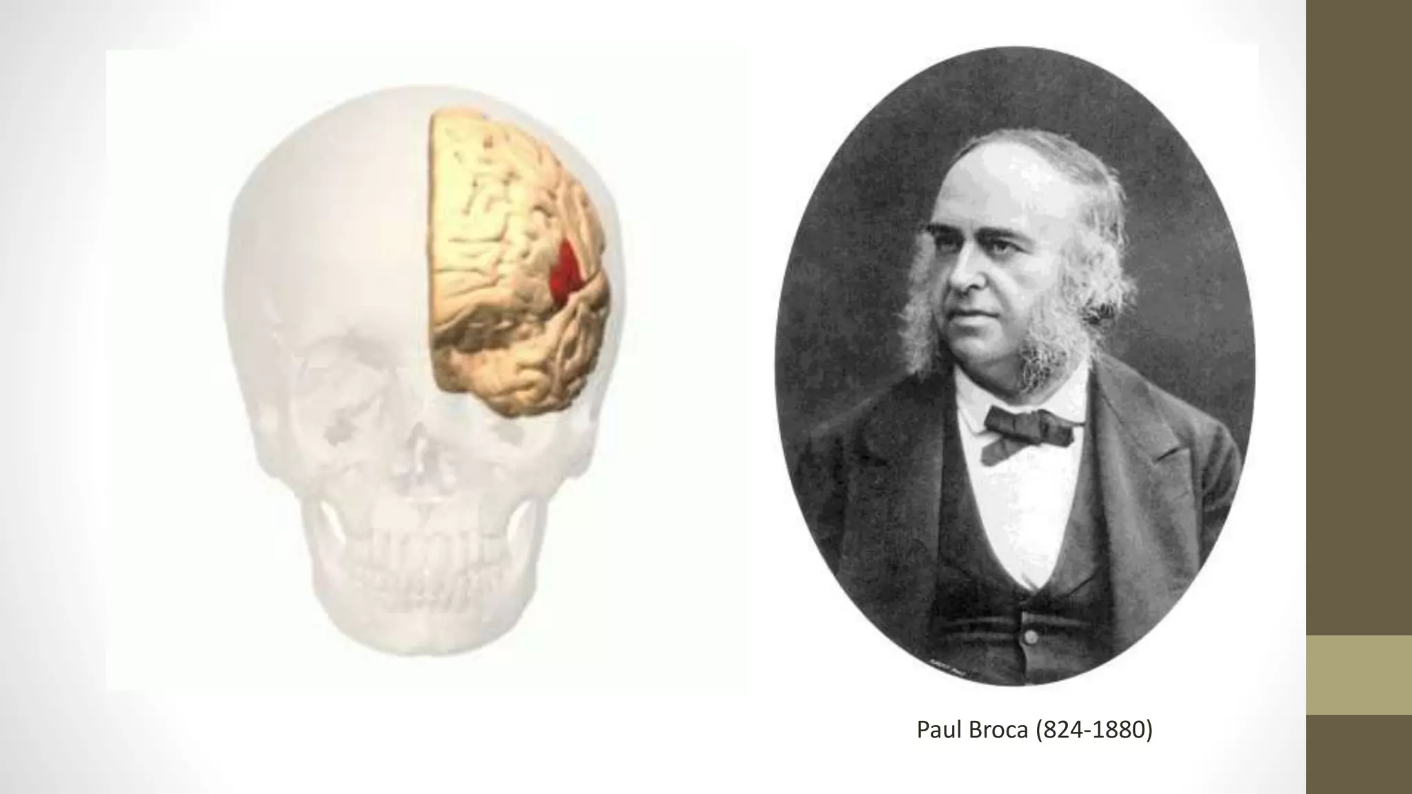 History of Neuroscience | PPTX