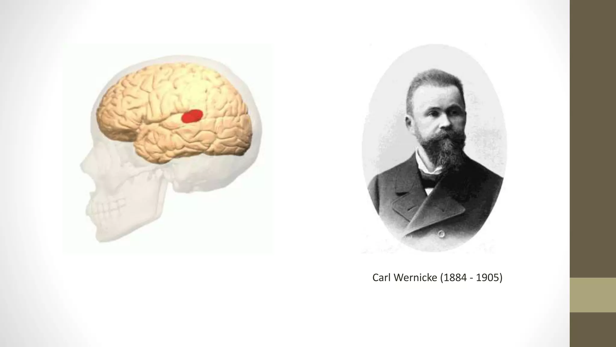 History of Neuroscience | PPTX