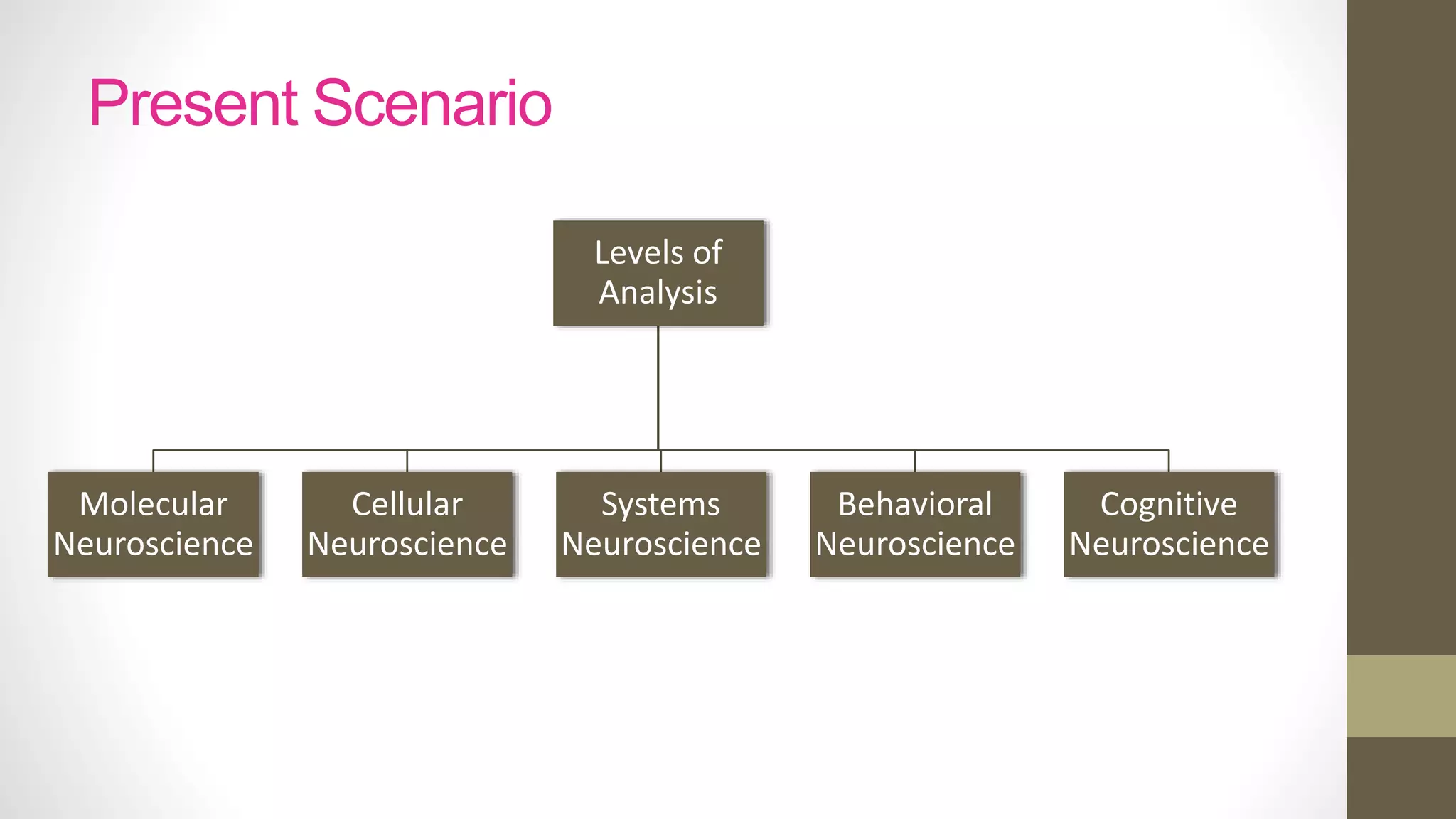 History of Neuroscience | PPTX
