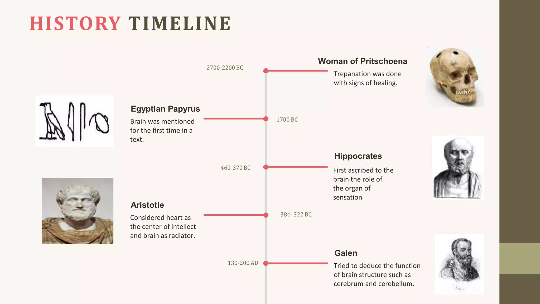 History of Neuroscience | PPTX