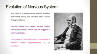 History of Neuroscience | PPTX